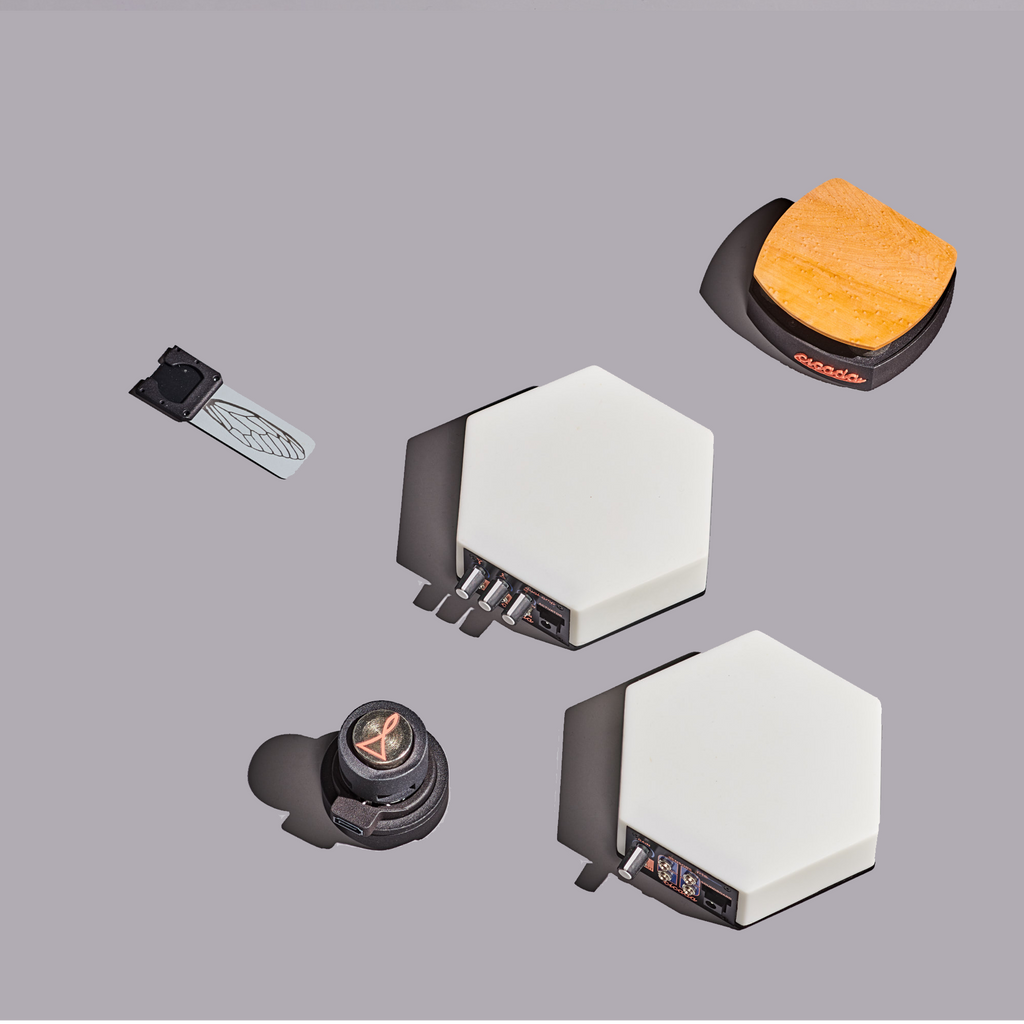 Cicada Pro Essential – Animato Audio