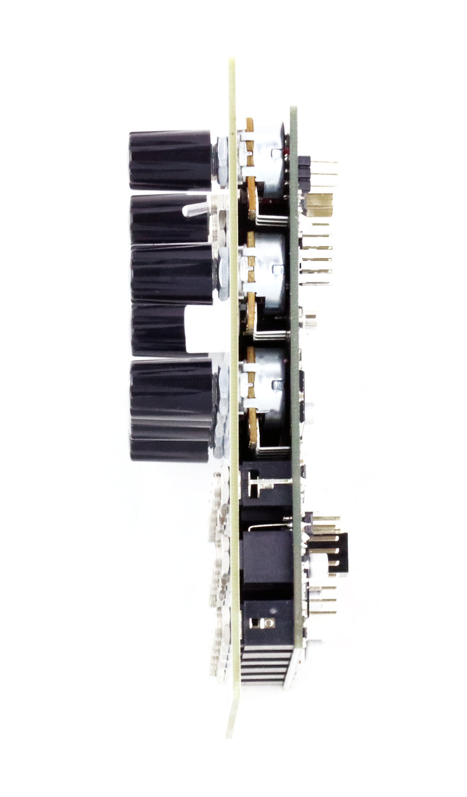 4ms Dual Looping Delay (DLD) – Animato Audio